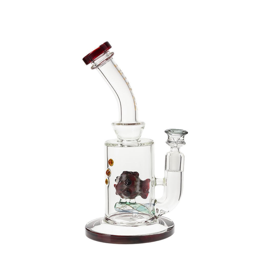 Gili Glass – The Aquarium Fish Percolator Bong | Smoking Outlet