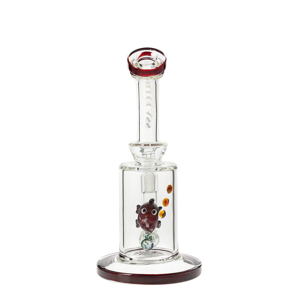 Gili Glass – The Aquarium Fish Percolator Bong | Smoking Outlet